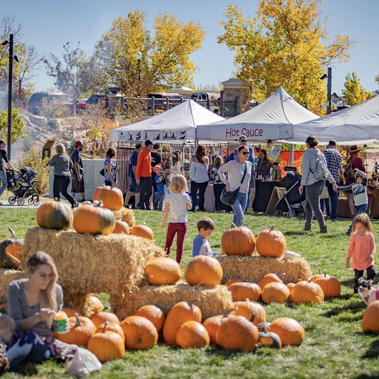 Special Events – the LOCAL Colorado