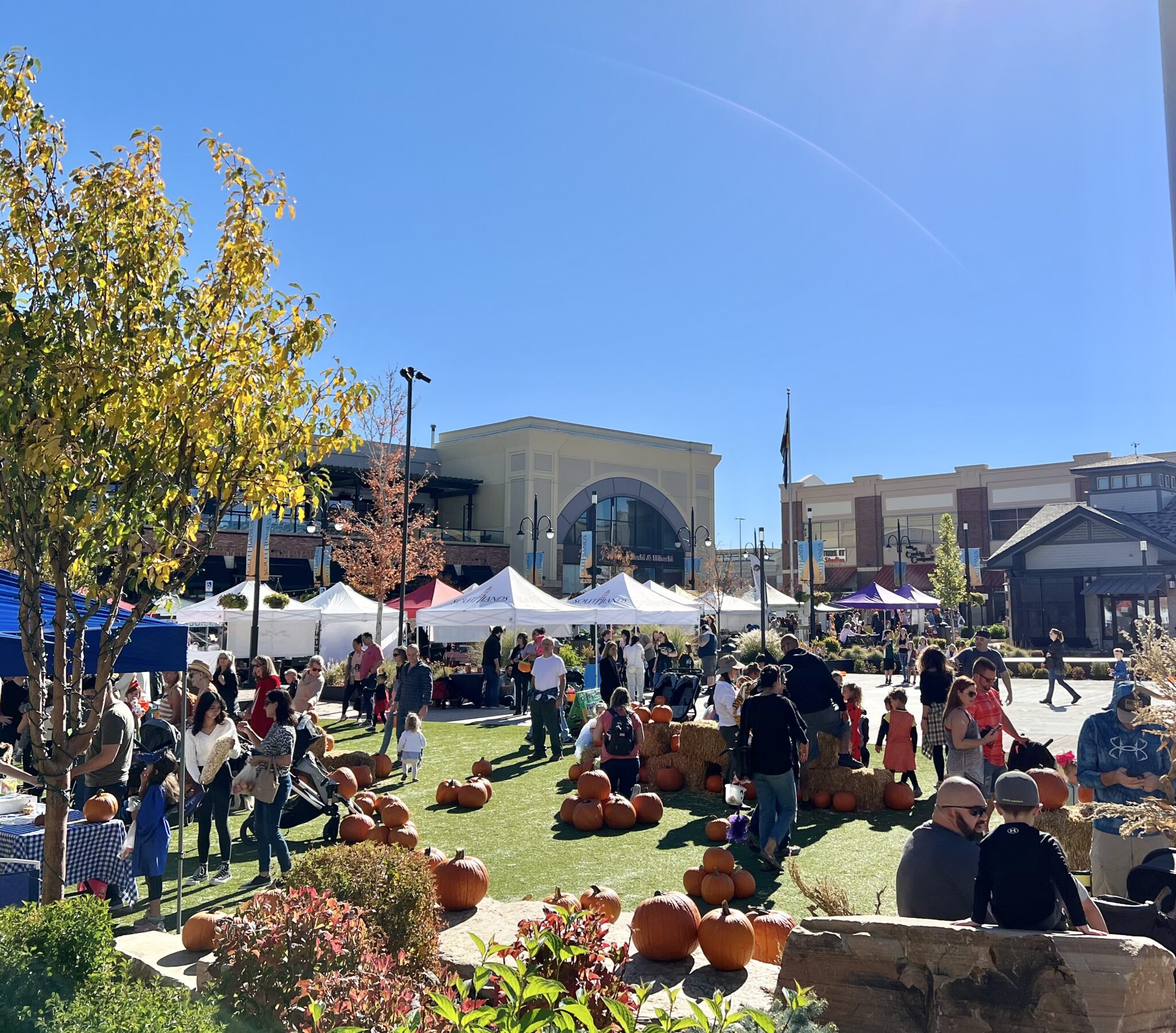 Special Events – the LOCAL Colorado